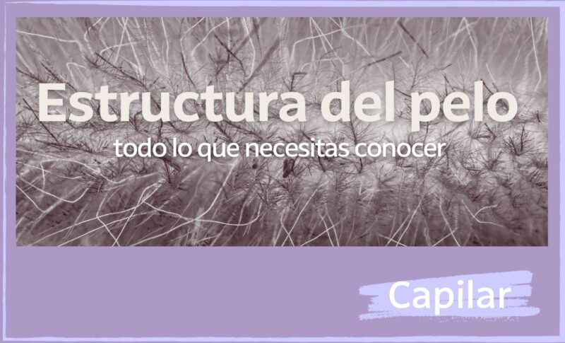 Estructura del pelo: estas son sus partes y características